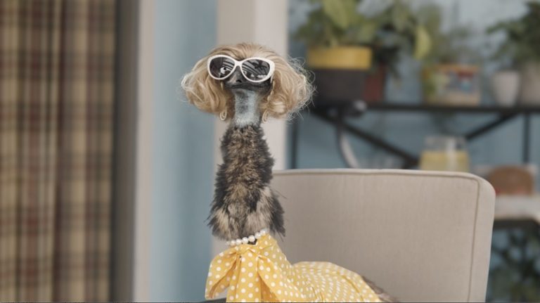 Is The Liberty Mutual Emu A Real Bird? [Updated 2025]