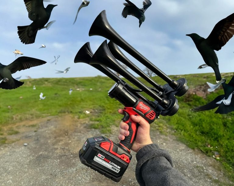 How To Scare Birds Away With Sound? [Updated 2026]