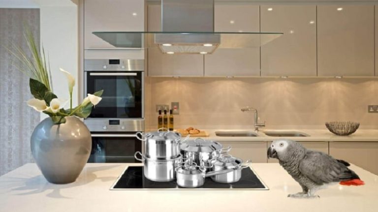 What Cookware Is Safe For Birds?