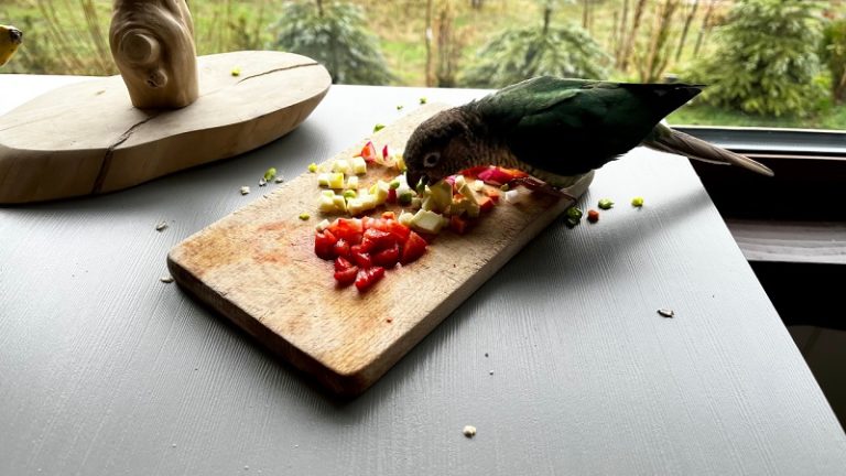 What Vegetables Can Birds Eat? [Updated 2026]