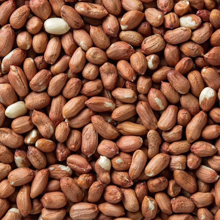 Are Bird Peanuts Safe For Humans?