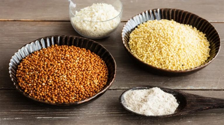 Is Millet Good For Birds?